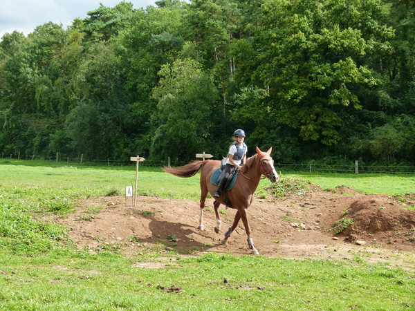 Centre Equestre de Marville - Stages